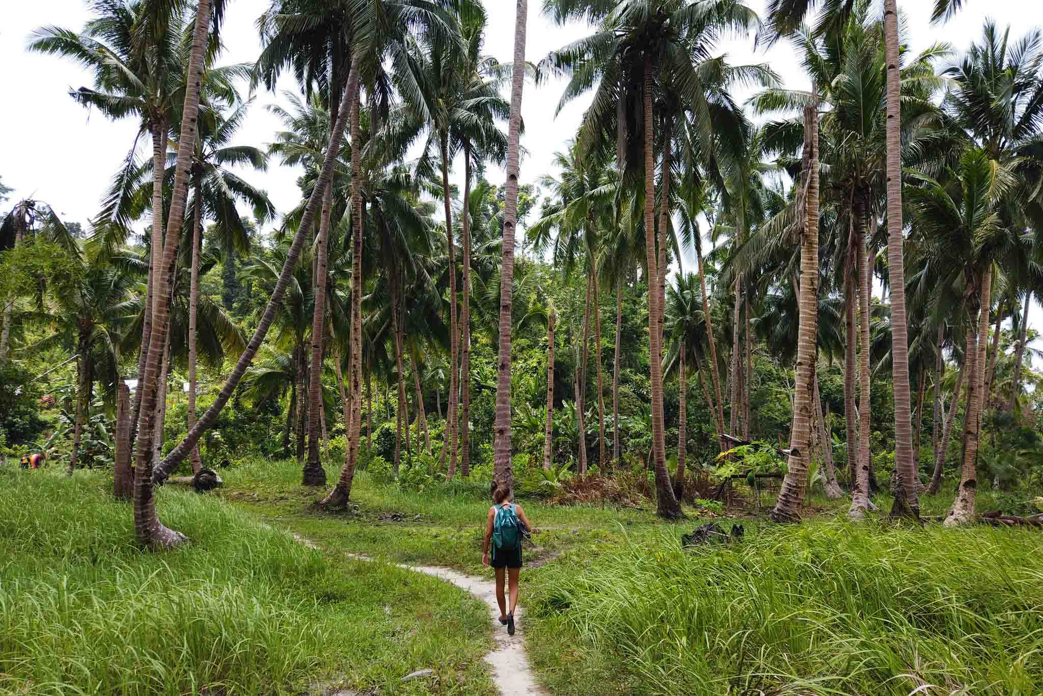 Que faire à Port Barton aux Philippines 2024 - Island Hopping - Plages